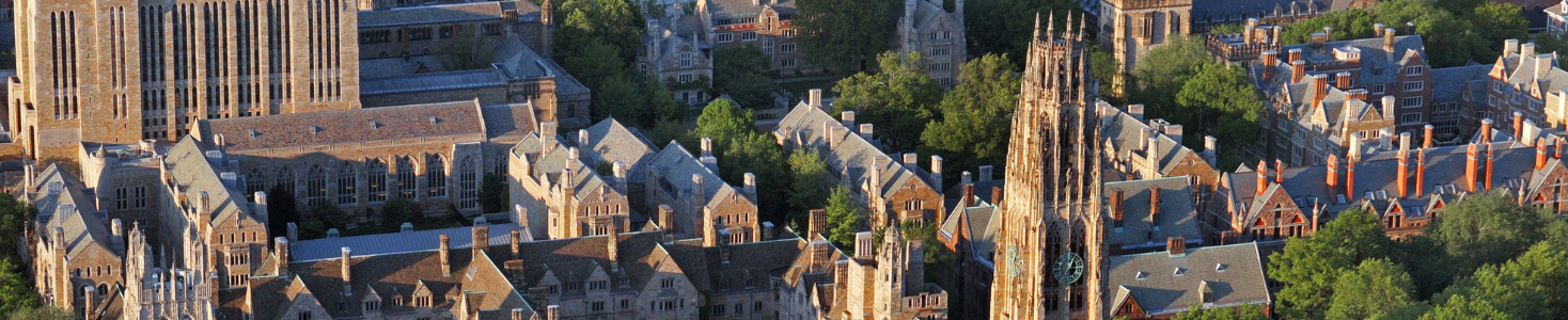 Combined BA/MA Program | Department of French